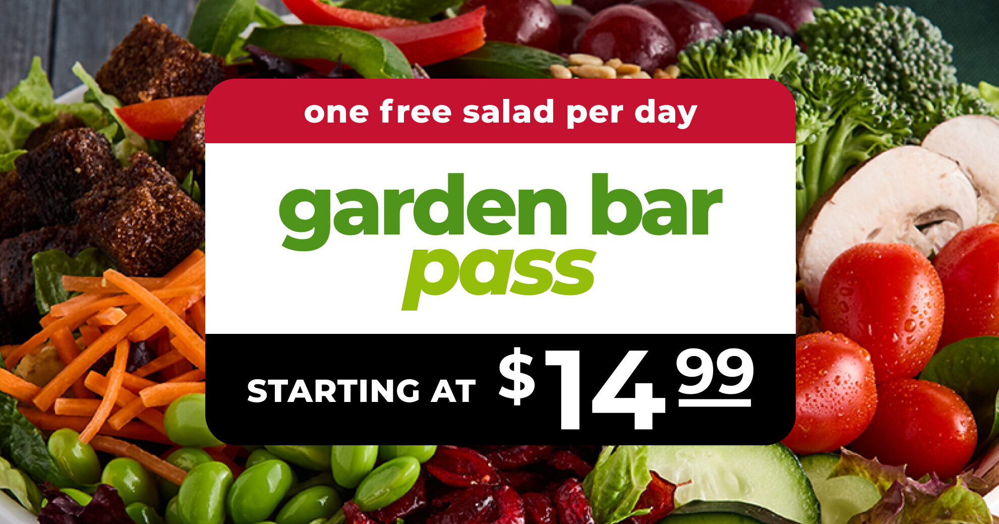 New Garden Bar Pass Now Available I Ruby Tuesday