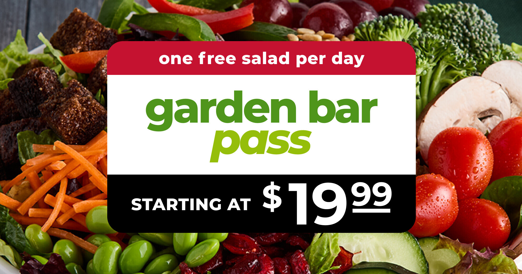 New Garden Bar Pass Now Available I Ruby Tuesday